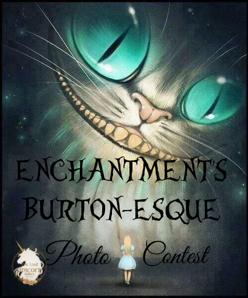 Enter Enchantment’s Burton-esque Photo Contest! – Lost Unicorn