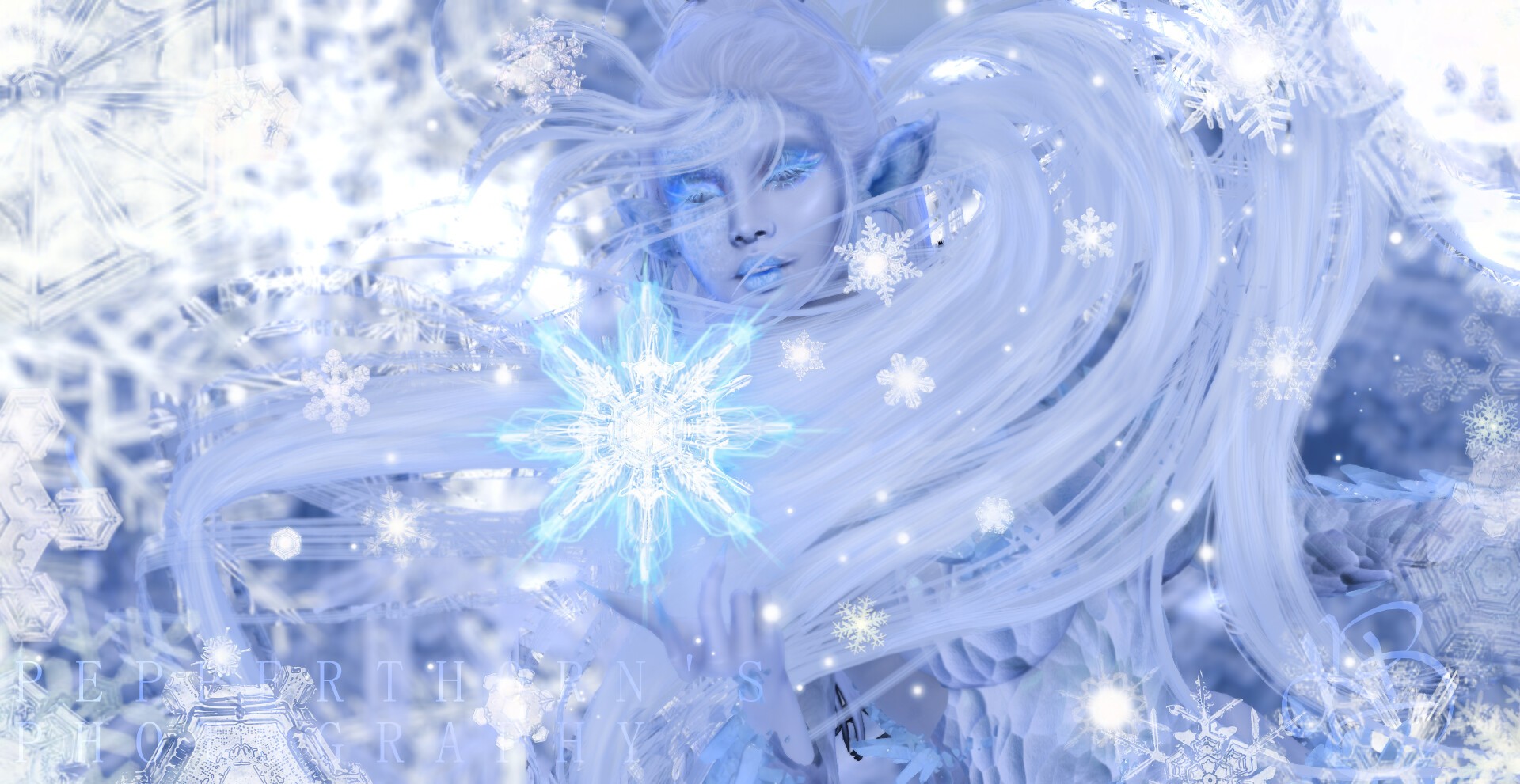 Lost Unicorn – the gallery, the forest, the magic